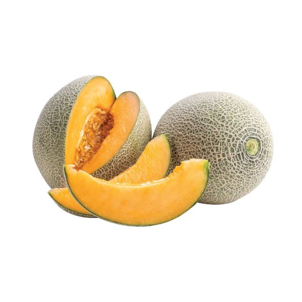 Rock Melon Iran- Grandiose.ae