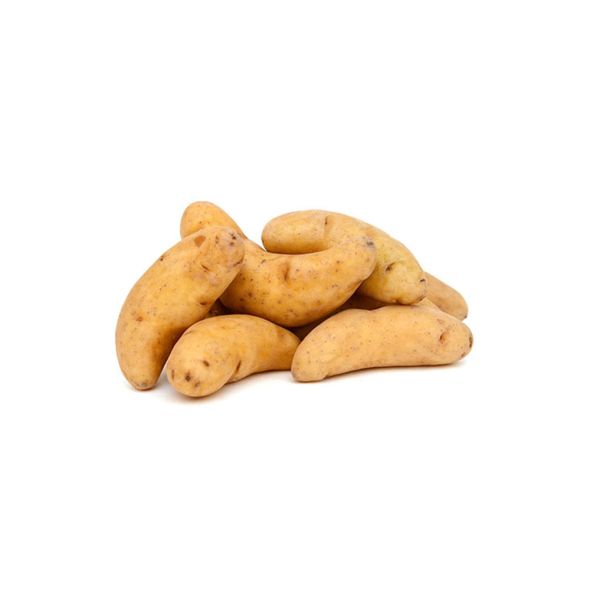 Ratte Potato France - Grandiose.ae