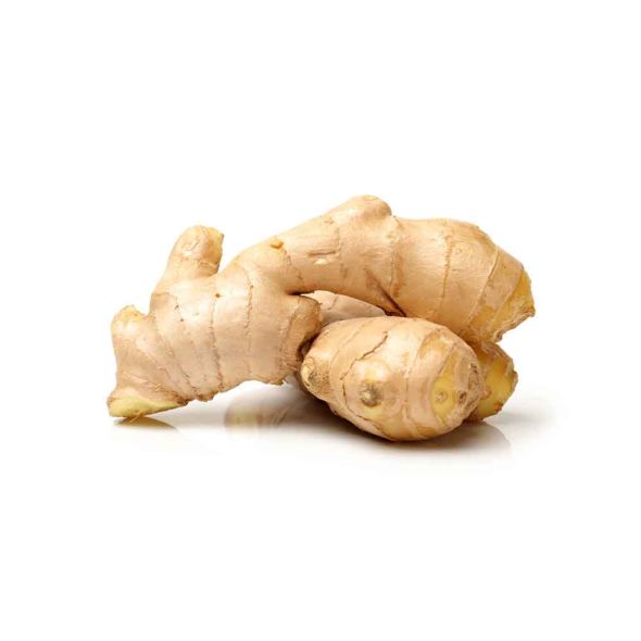 Ginger India - Grandiose.ae