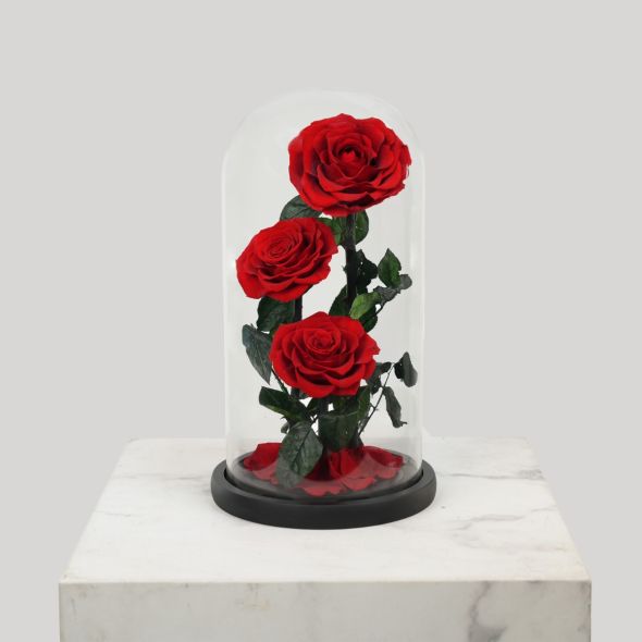 3 Infinity Red Roses - Grandiose.ae