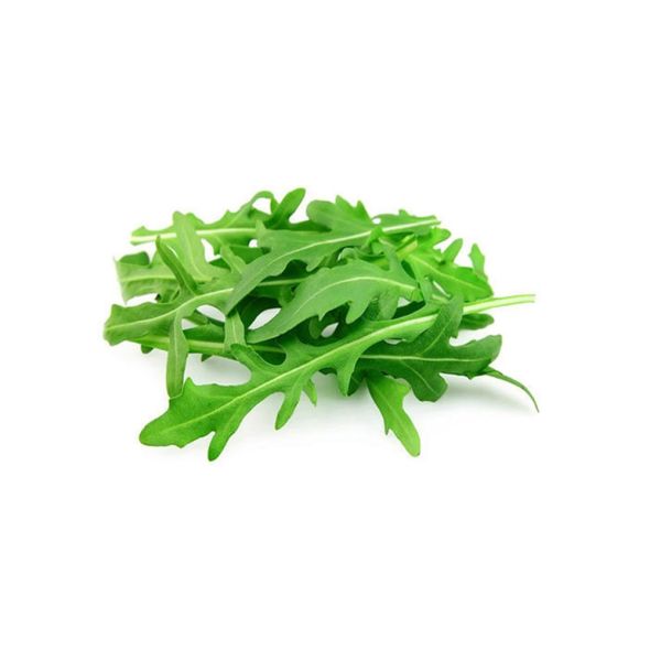 Baby Lettuce Rocket Italy - Grandiose.ae