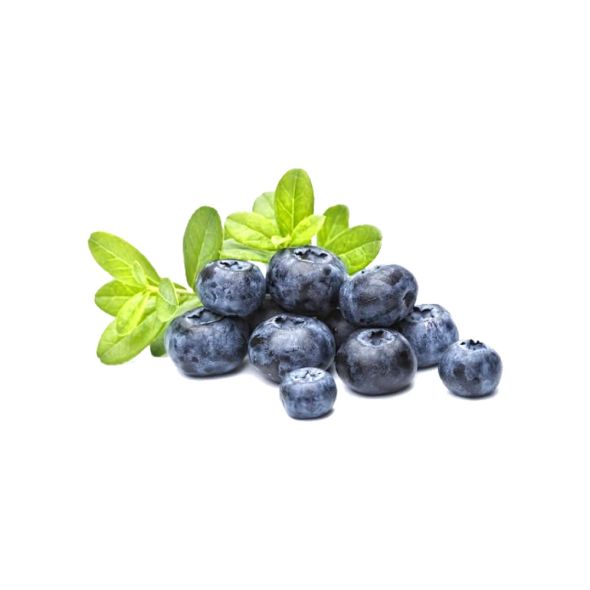 Blueberries Elite South Africa - Grandiose.ae