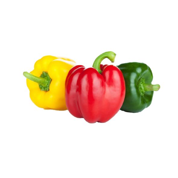 Capsicum Mix Spain - Grandiose.ae