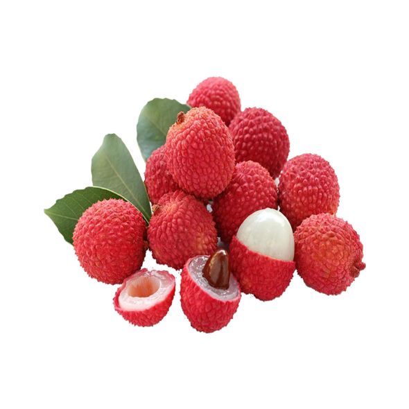 Lychee South Africa - Grandiose.ae