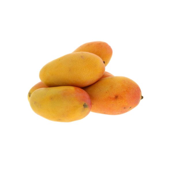 Mango Taimur Yemen - Grandiose.ae
