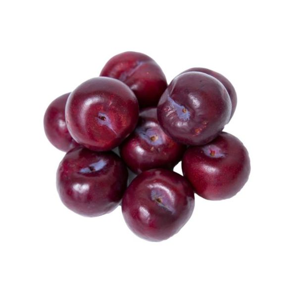 Plum South Africa - Grandiose.ae