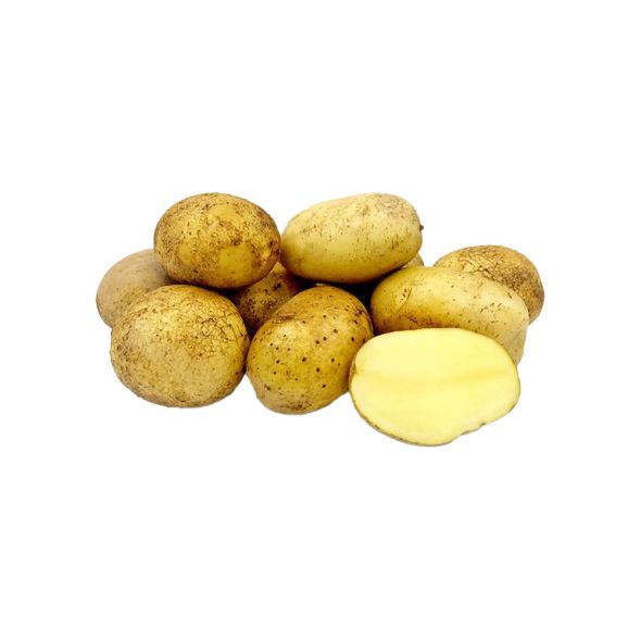 Potato Agria Lebanon - Grandiose.ae