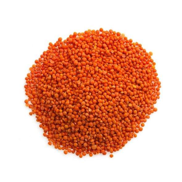 Red Football Lentil - Grandiose.ae