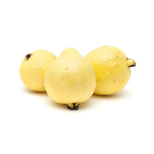 Guava Egypt - Grandiose.ae