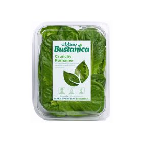 Cuts & Salads | Fruits & Vegetables - Grandiose.ae