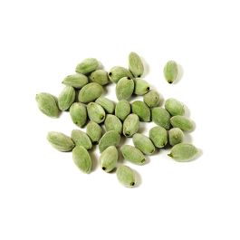 Almond Green Lebanon - Grandiose.ae