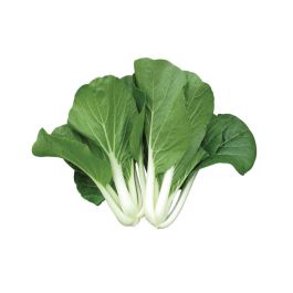 Fresh Pechay Local - Grandiose.ae