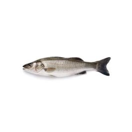 Sea Bass Turkey - Grandiose.ae