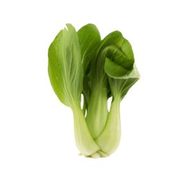 Baby Paksoy China - Grandiose.ae