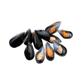 Cooked Australian Blue Mussels - Grandiose.ae