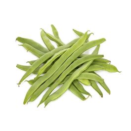 Flat Beans Lebanon - Grandiose.ae