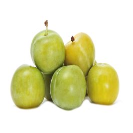 Plums White Lebanon - Grandiose.ae