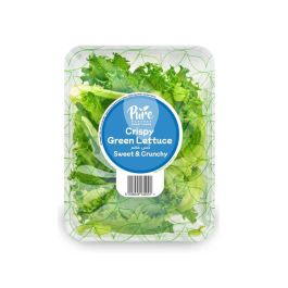 Pure Harvest Crispy Green Lettuce - Grandiose.ae