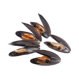 Cooked Frozen Canadian Blue Mussels - Grandiose.ae