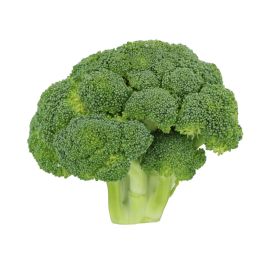 Broccoli Spain - Grandiose.ae