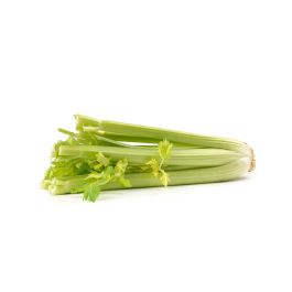 Celery Green Spain - Grandiose.ae