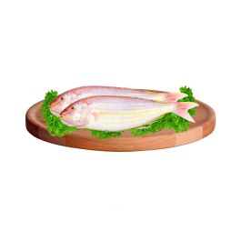 Sultan Ibrahim Fish