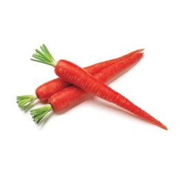 Red Carrot India - Grandiose.ae