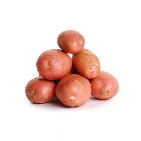 Vegetables | Fruits & Vegetables - Grandiose.ae