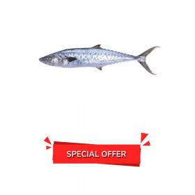 Fish & Seafood - Grandiose.ae