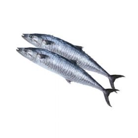 Fish | Fish & Seafood - Grandiose.ae